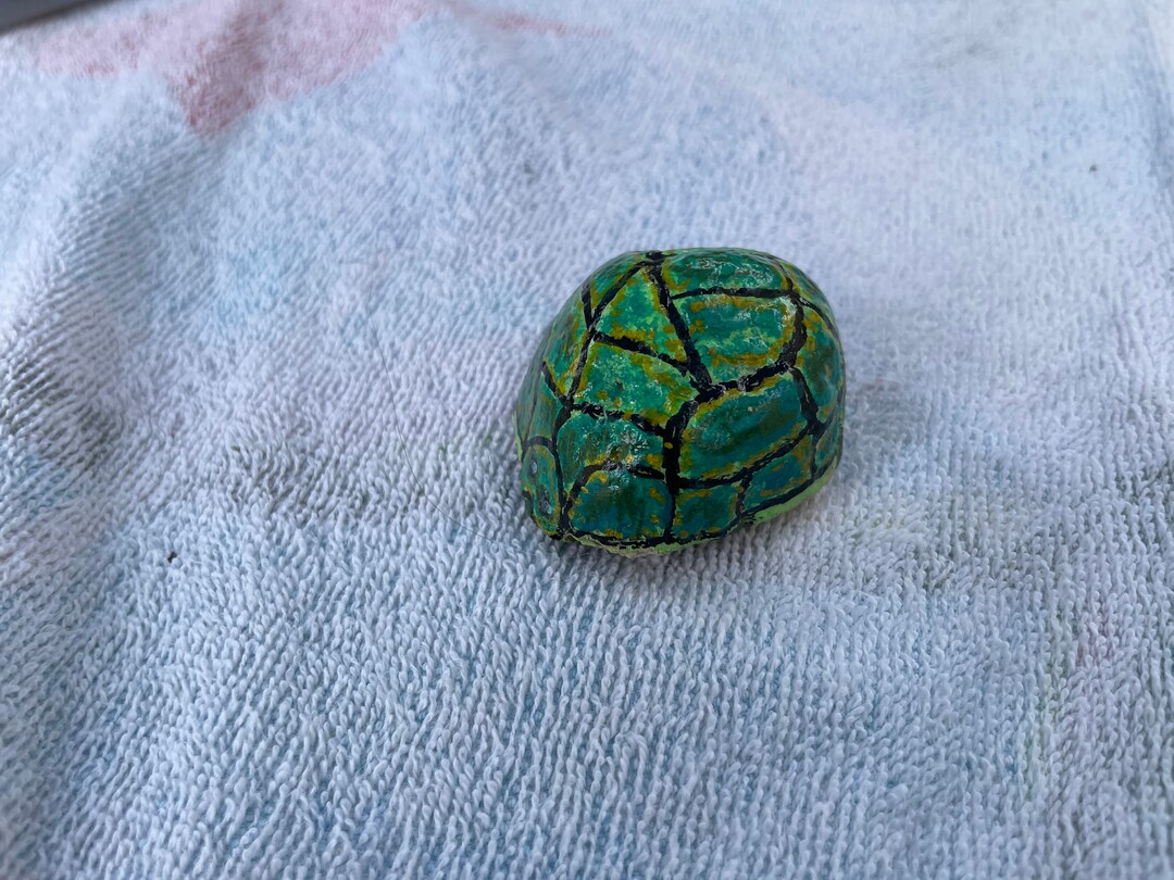 Turtle Shell Painted Garden Rock - Etsy