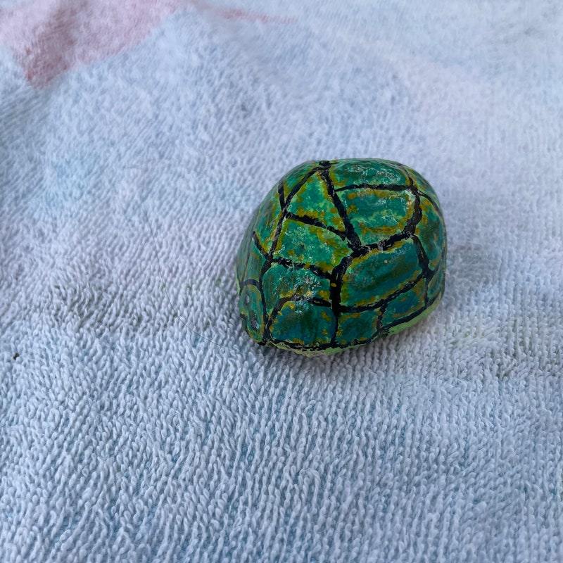 Painted Rocks and Shells - Etsy