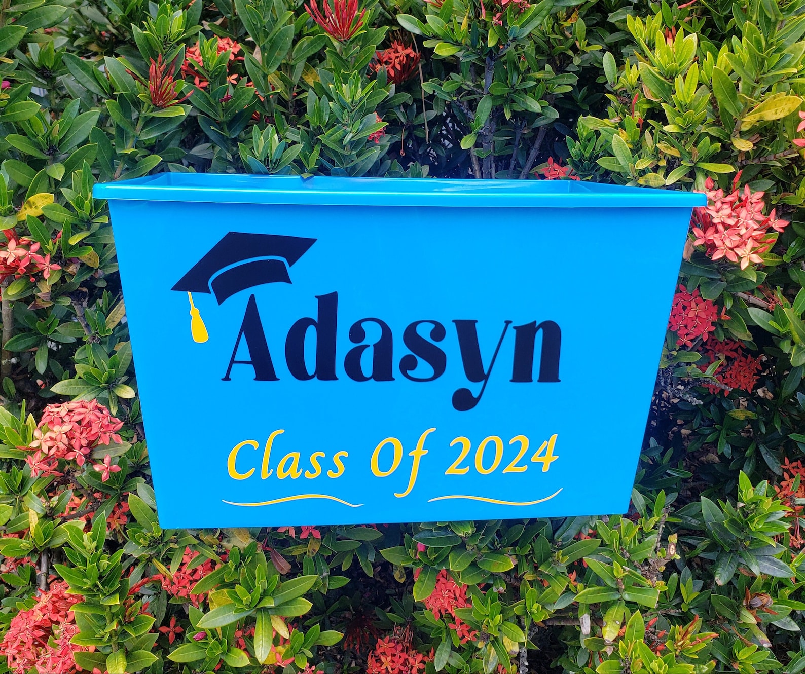 Personalized Graduation Basket, Custom Class of 2025 Bucket, Grad Gift ...