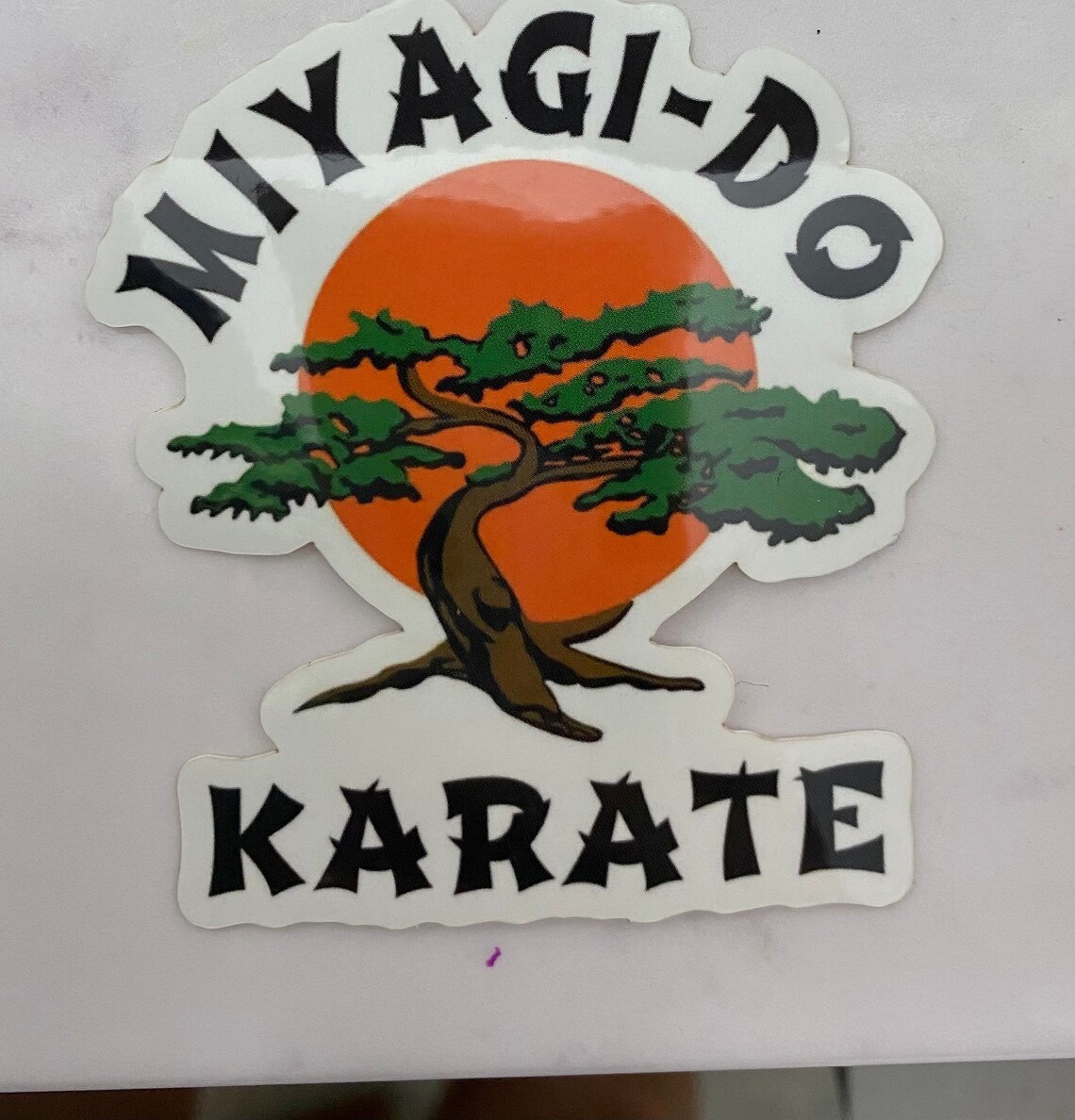 Karate Kidcobra Kai Eagle Fang and Miyagi Do Decal Stickers - Etsy