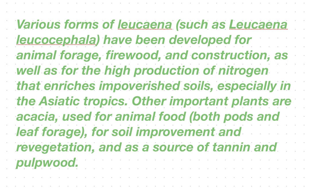 Leucaena Leucocephala, Miracle Tree, River Tamarind Tree, Guaje Seeds ...