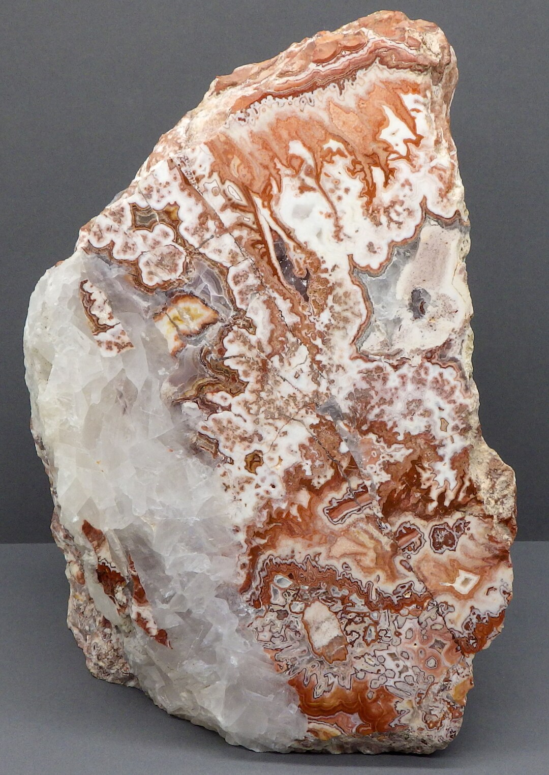 Large Polished Both Sides Rosetta Stone Jasper 7 Inches Tall Often ...