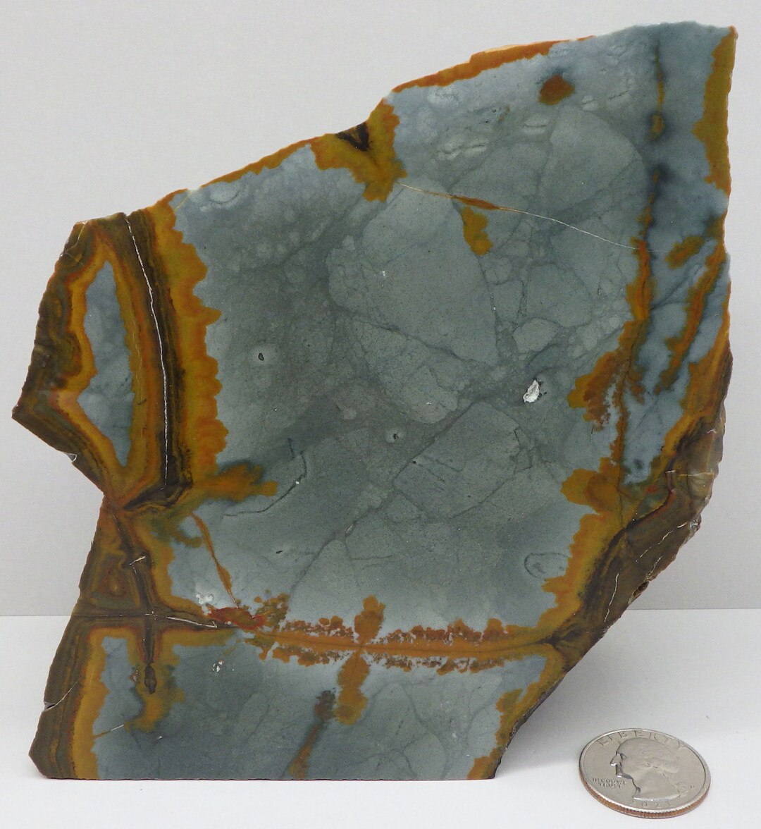 Polished Rocky Butte Picture Jasper Cut to Stand up Great Colors Blues ...