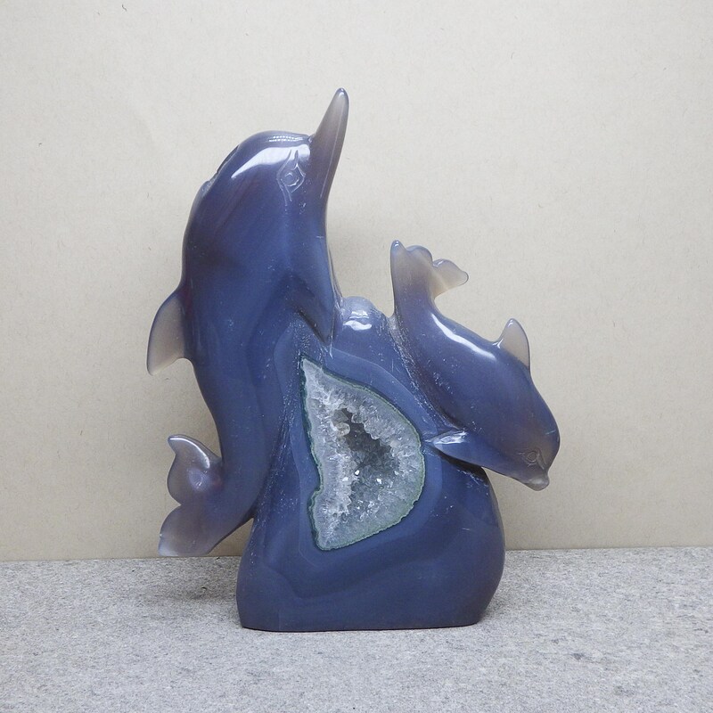 Dolphin Stone - Etsy