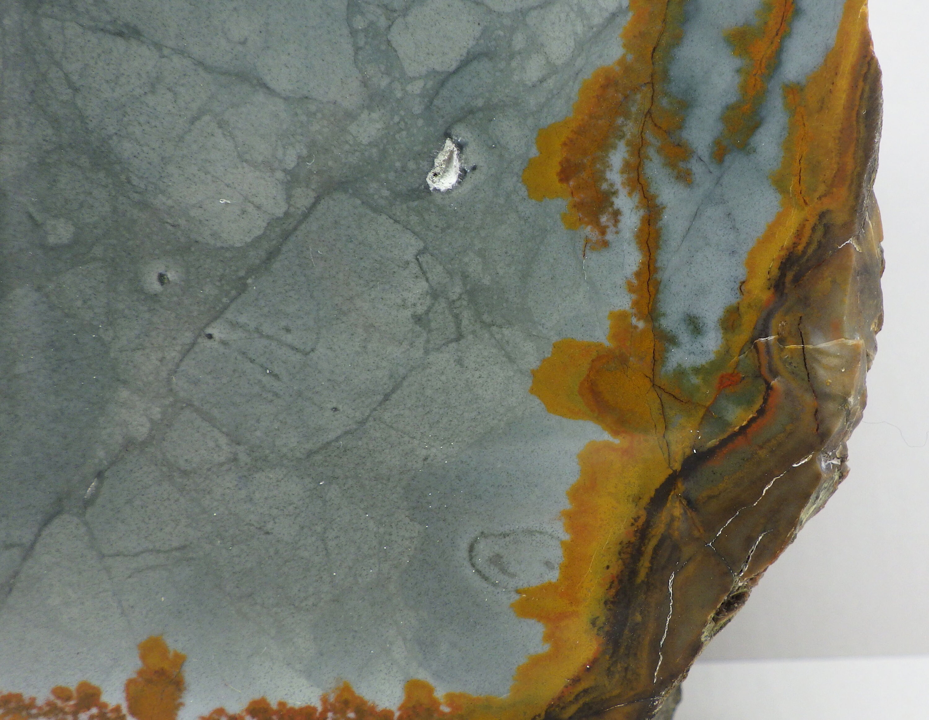 Polished Rocky Butte Picture Jasper Cut to Stand up Great - Etsy