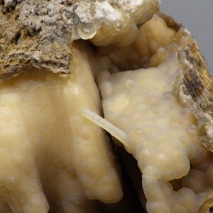 Large Florida Agatized Fossil Coral Geode 360 Degree Specimen Over 9 ...