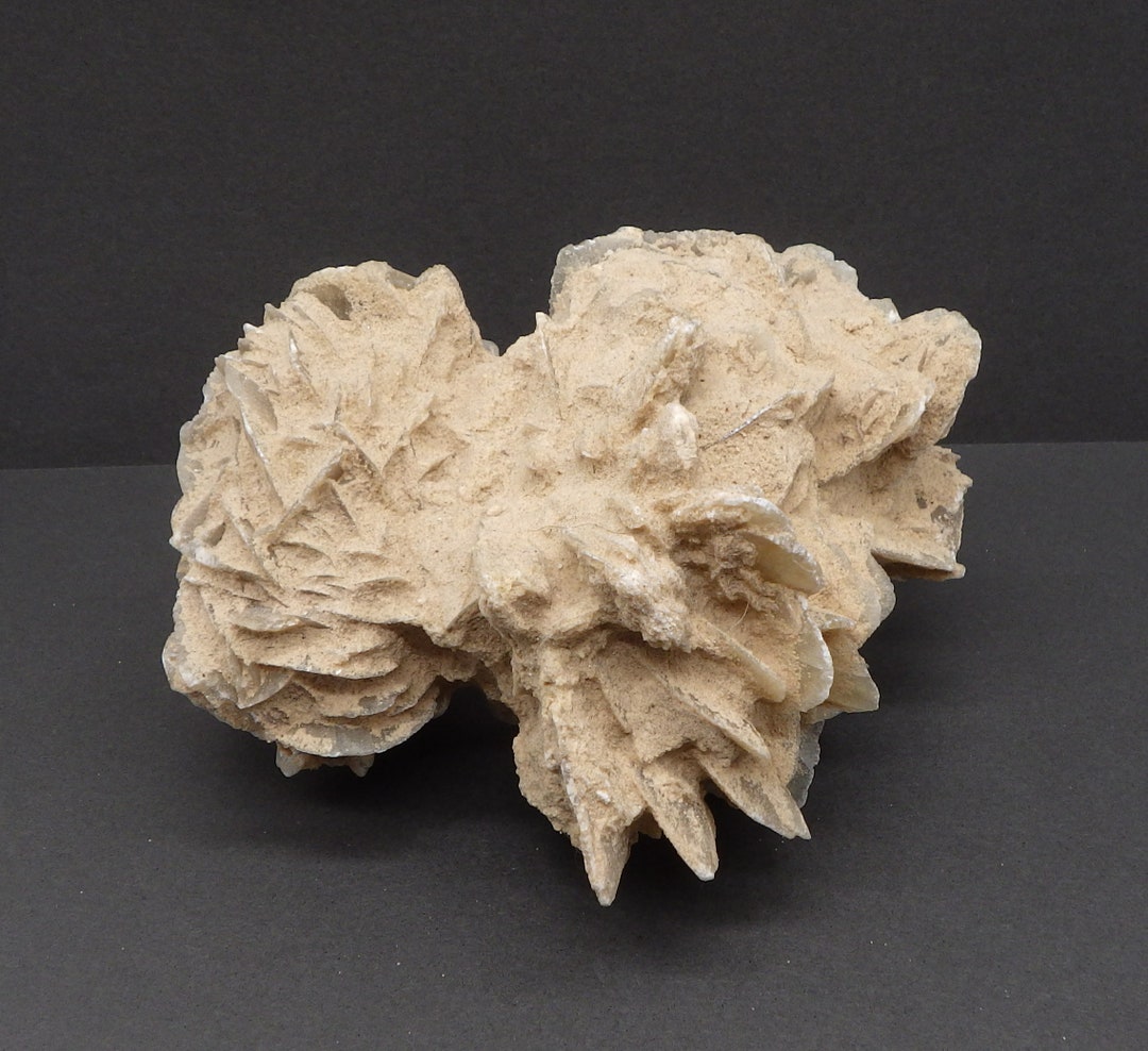Beautiful Four Cluster Desert Rose From Chihuahua Mexico Selenite Rose ...