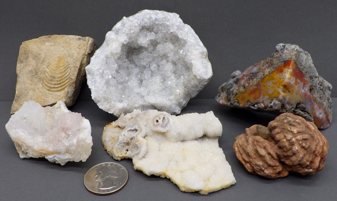 USA Random Lot Fossil Shell in Matrix, Keokuk Geode, Seam Agate ...
