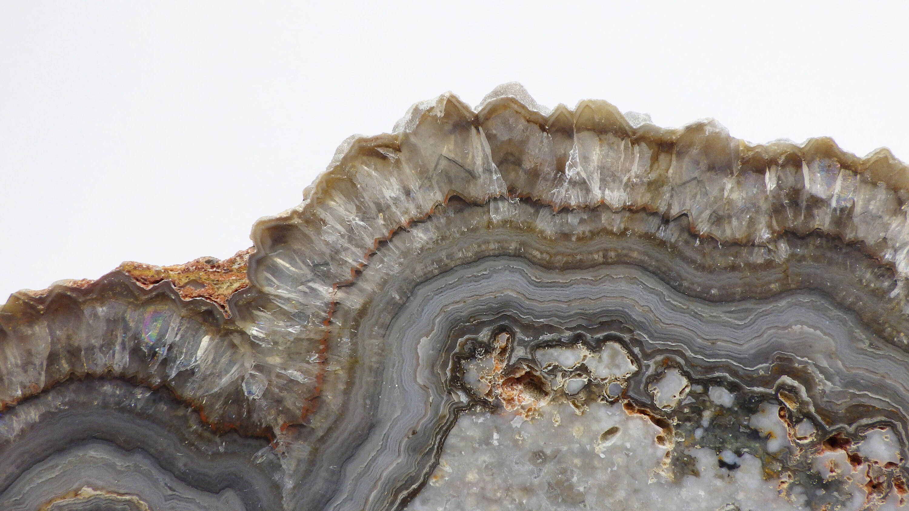 Missouri Lace Agate Polished Amazing Banding. - Etsy