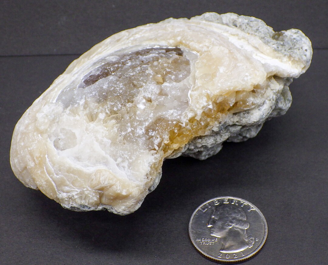 Rucks Pit Golden Calcite Clam UV Reactive - Etsy