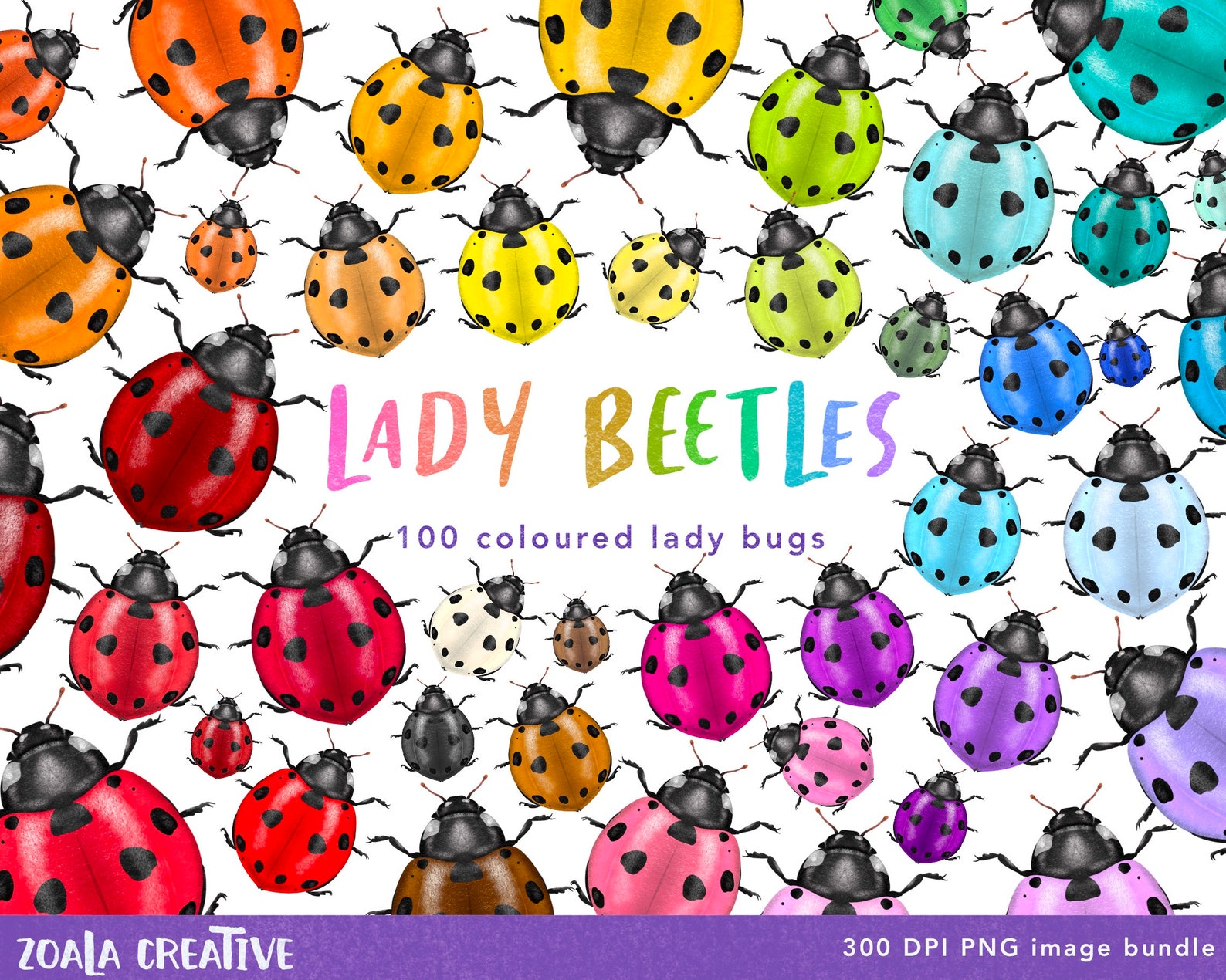 100 Colour Lady Beetle PNG Clipart Bundle for Card Making, Scrapbooking ...