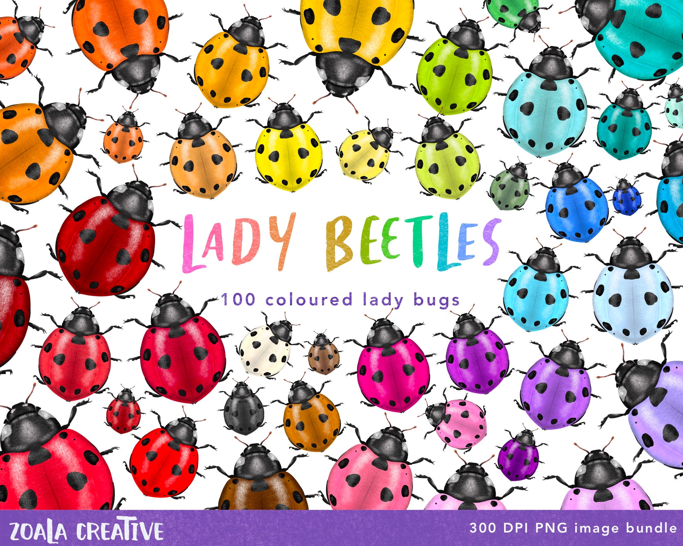 100 Colour Lady Beetle PNG Clipart Bundle for Card Making, Scrapbooking ...