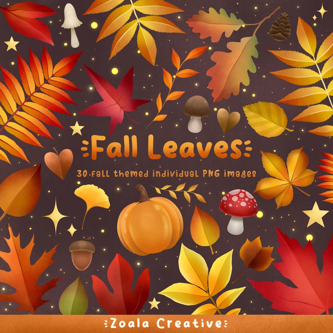 Fall Leaves PNG Clipart Set - Autumn Themed Instant Download - Cute ...