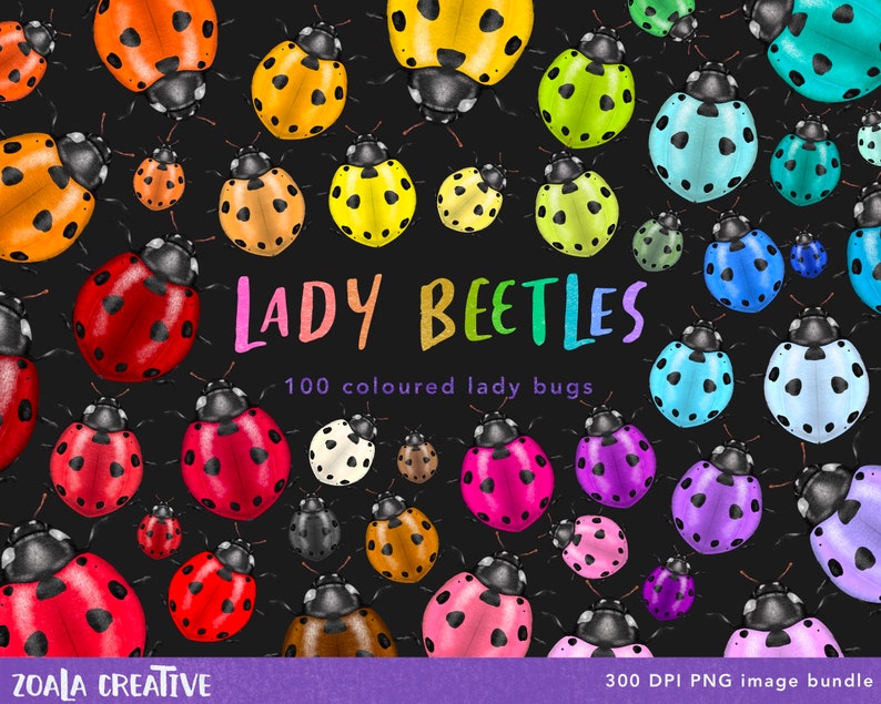 100 Colour Lady Beetle PNG Clipart Bundle for Card Making, Scrapbooking ...