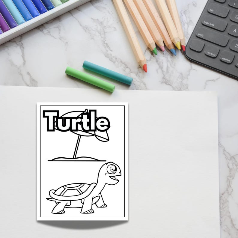 Turtle Coloring Page, Kids Coloring Page, Animal Color Page, Age 2-5 ...