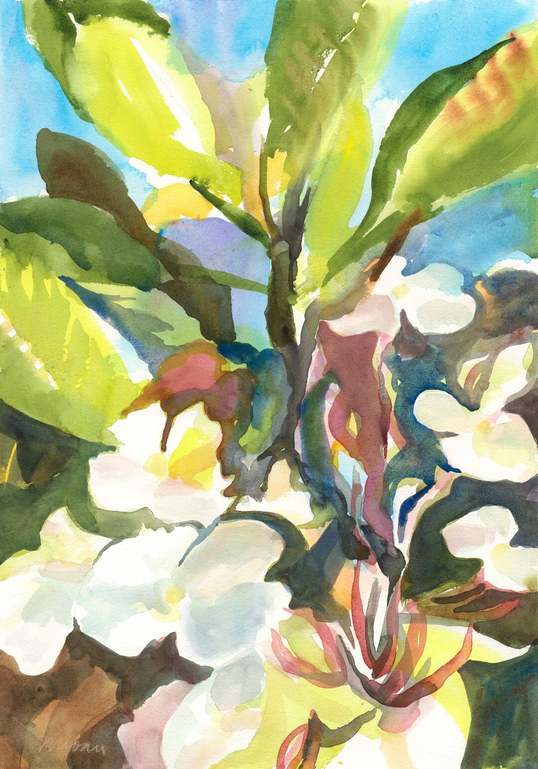 Plumeria II A Tropical Still Life Paper and Canvas Print by Hawaiian ...