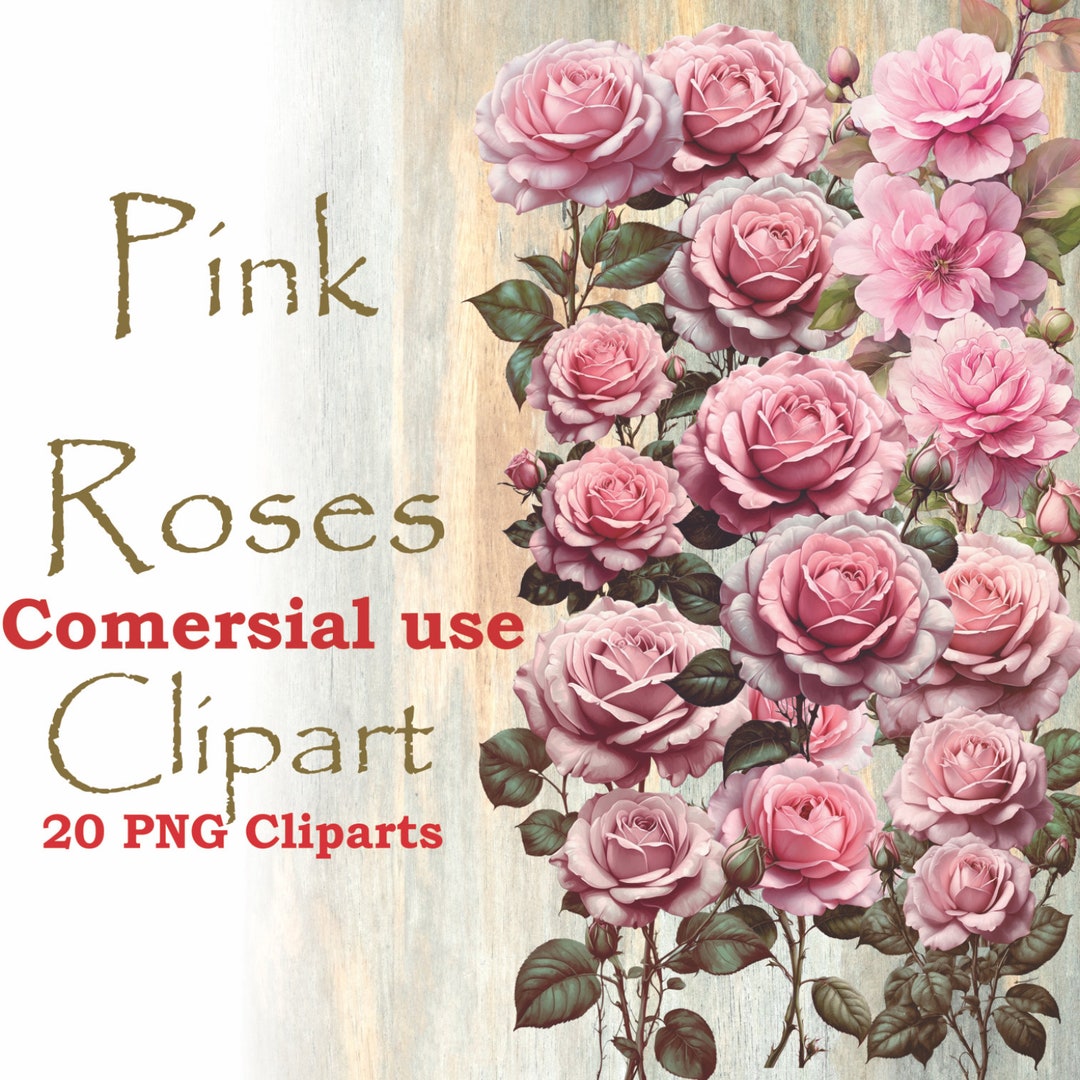 Victorian Pink Roses Clipart, Pink Roses PNG, Vintage Roses Transparent ...