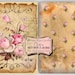 Cover Pages, Victorian Roses Garden, Pink Roses Pages, Vintage Ephemera ...