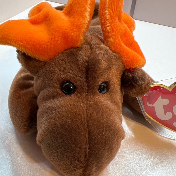 Chocolate Moose - Etsy