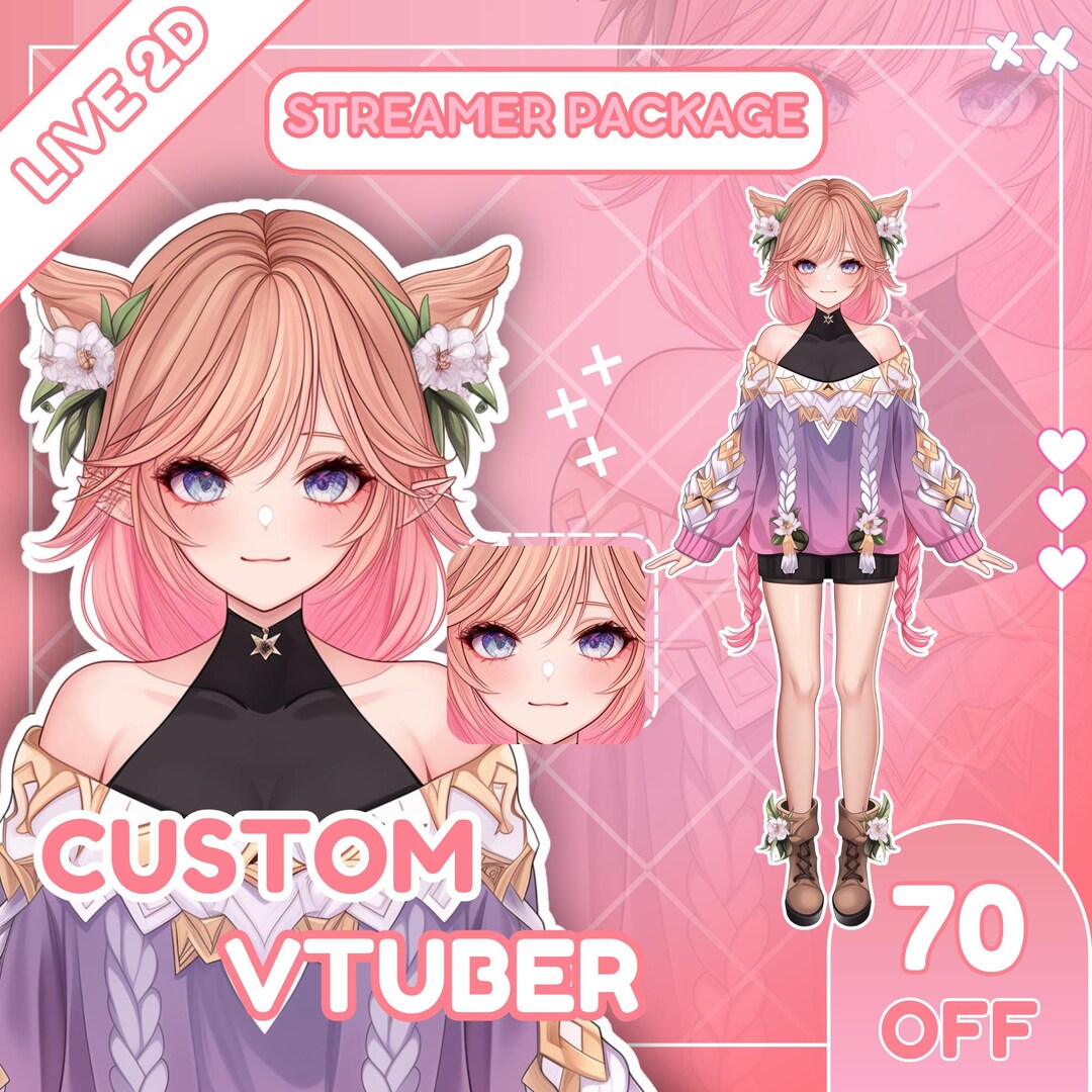 Custom Live2d Vtuber Model | Vtuber Asset | Live2d Commission | Anime ...