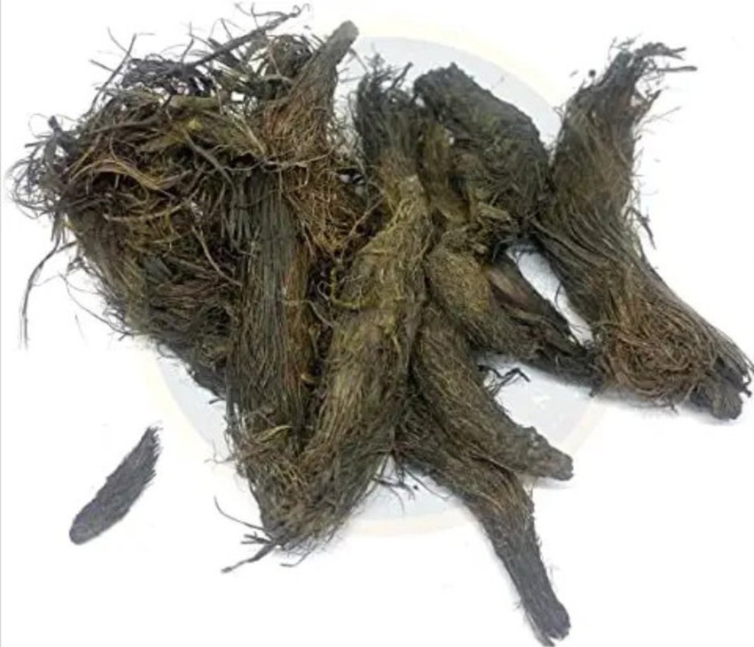 Pure Natural JATAMANSI Root, Spikenard, Muskroot II Balchar, Nardin ...