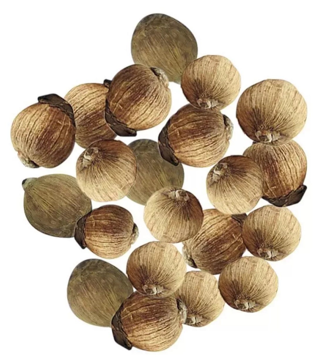 Laghu Nariyal / Small Coconut Sriphal for Puja Use High - Etsy