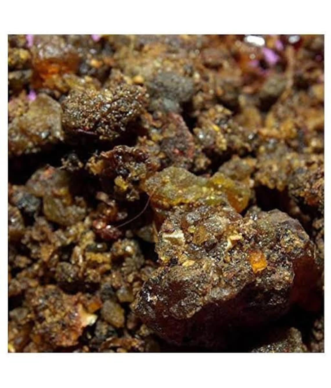 Indian Origin 50-500 Gms Premium Guggul Guggulu Guggal Gulgulu Gugal ...