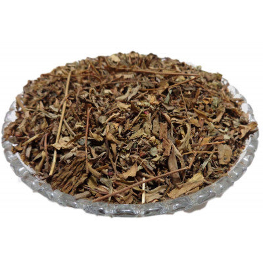 Bhumi Amla Panchang Phyllanthus Niruri-bhumi Aamla Bhoomi - Etsy