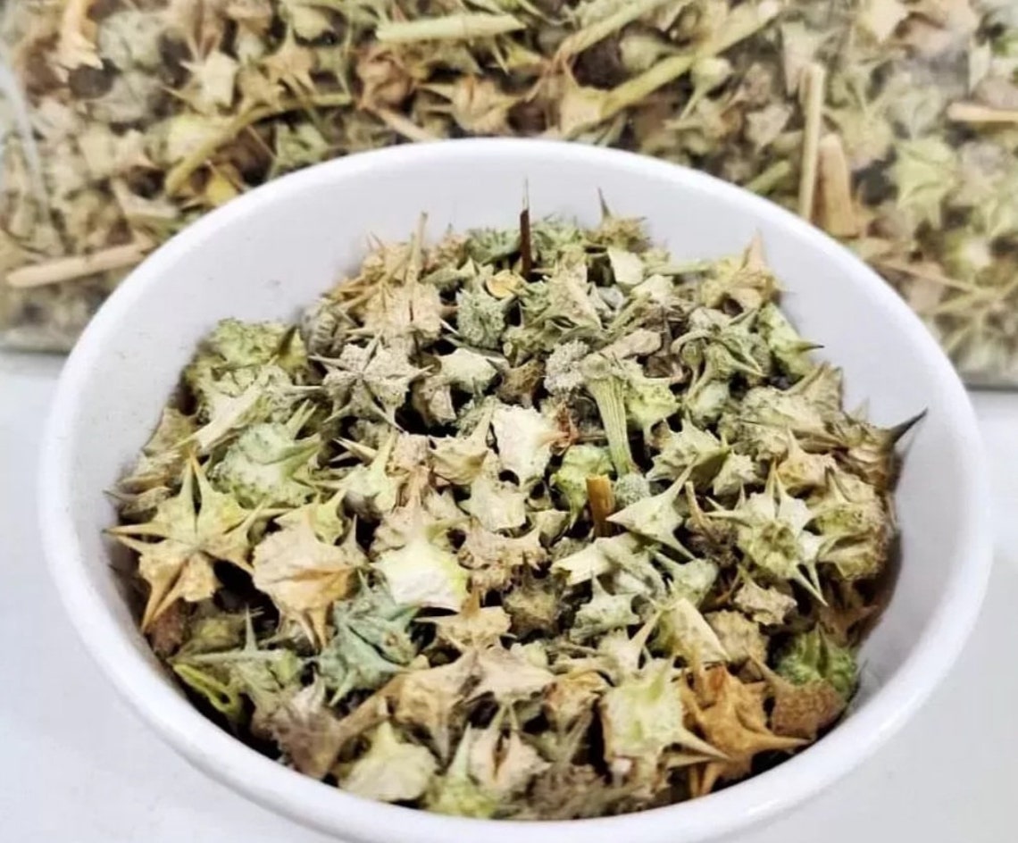 Original Pure Gokhru Seeds Gokshura Tribulus Terrestris - Etsy