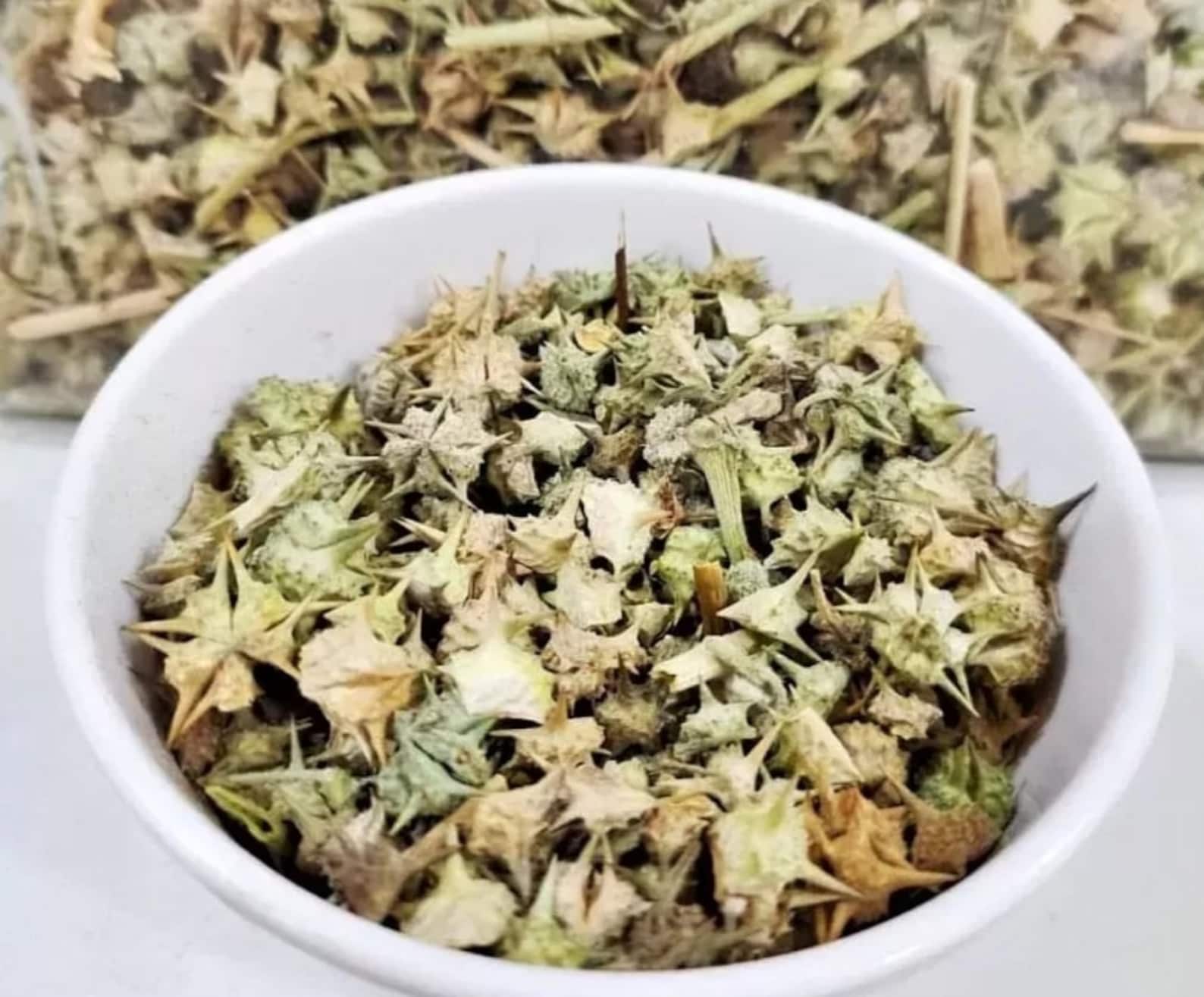 Original Pure Gokhru Seeds Gokshura Tribulus Terrestris - Etsy