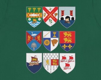 County Coat of Arms - Etsy