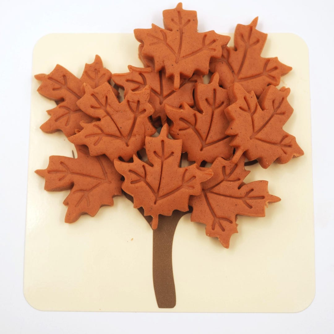 Fall Sensory Playdough Kit: Scented Dough, Leaf Cutters - Etsy