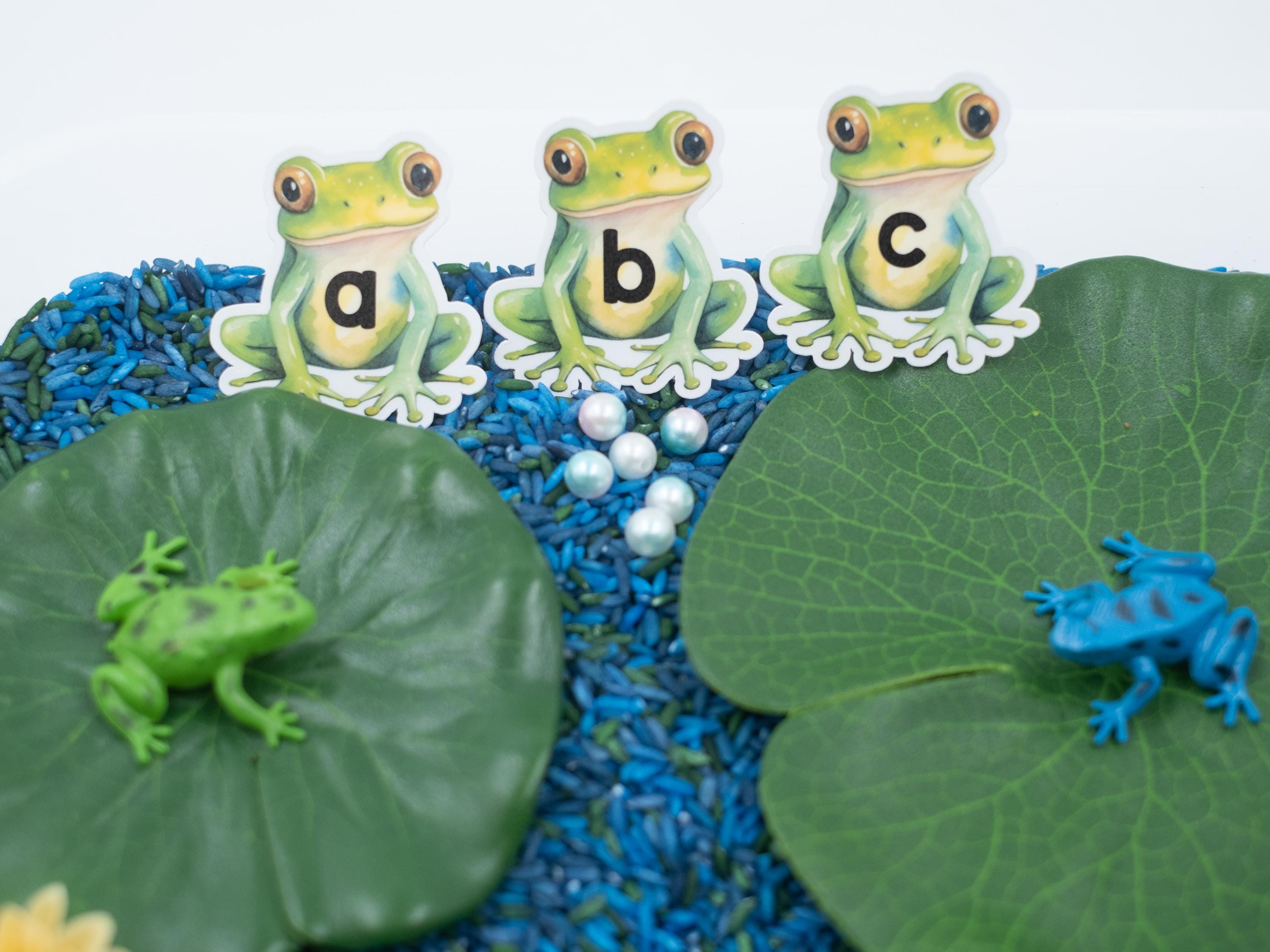 Frog Pond Sensory Bin: ABC Learning Toy - Etsy