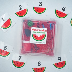 Watermelon Sensory Bin Sensory Rice for Sensory Play Early Math Games ...
