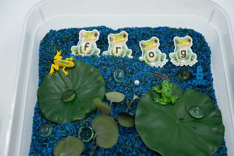 Frog Pond Sensory Bin: ABC Learning Toy - Etsy