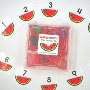 Watermelon Sensory Bin: Math Games, Red Rice & Seeds - Etsy