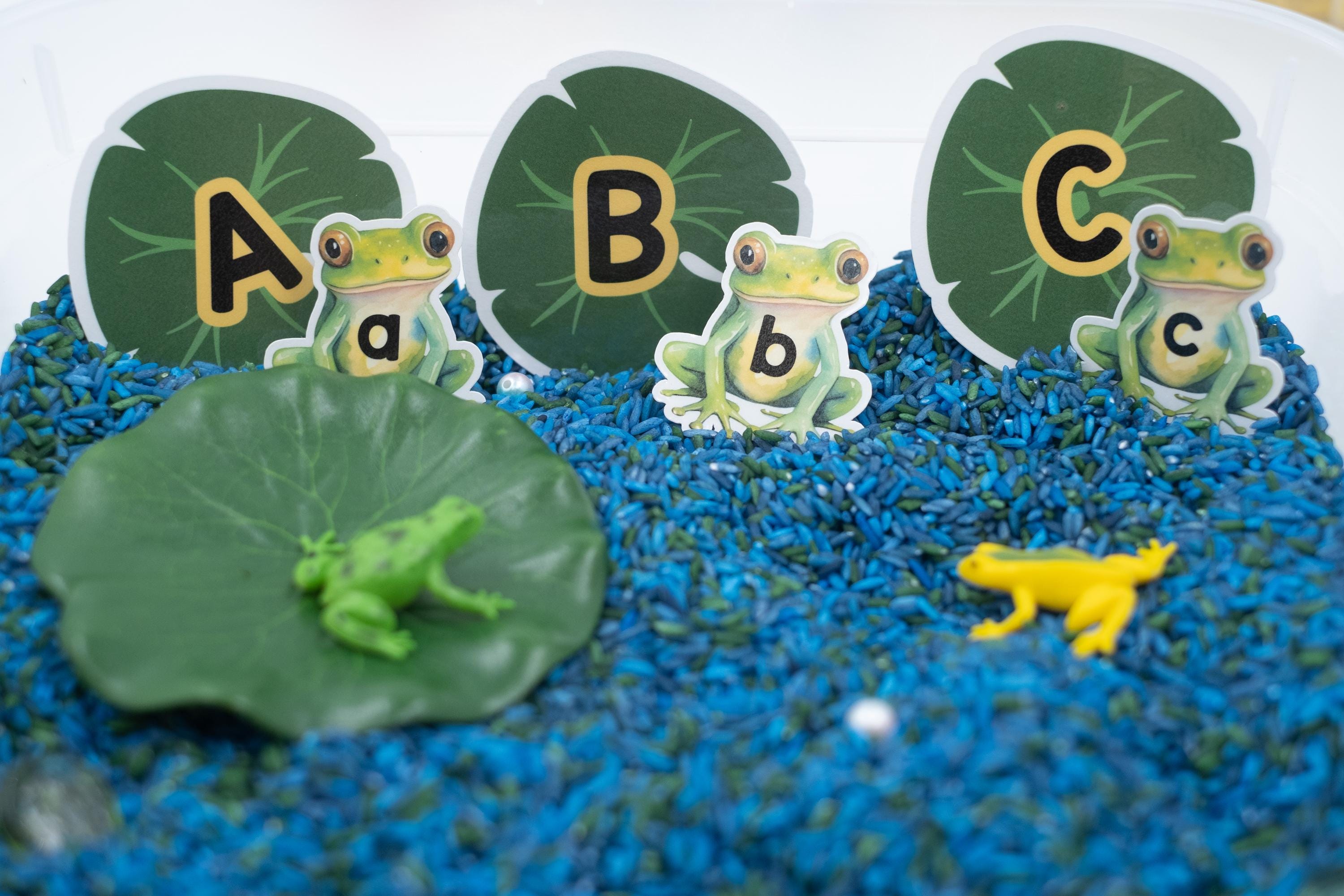 Frog Pond Sensory Bin: ABC Learning Toy - Etsy
