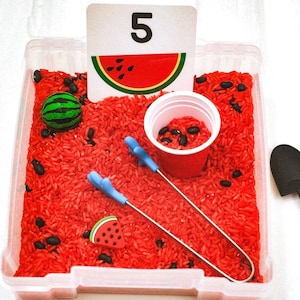 Watermelon Sensory Bin: Math Games, Red Rice & Seeds - Etsy