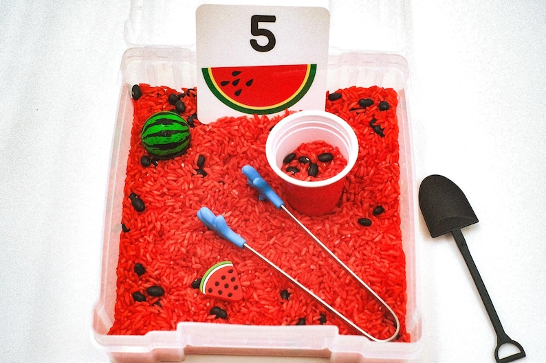 Watermelon Sensory Bin: Math Games, Red Rice & Seeds - Etsy