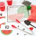 Watermelon Sensory Bin: Math Games, Red Rice & Seeds - Etsy