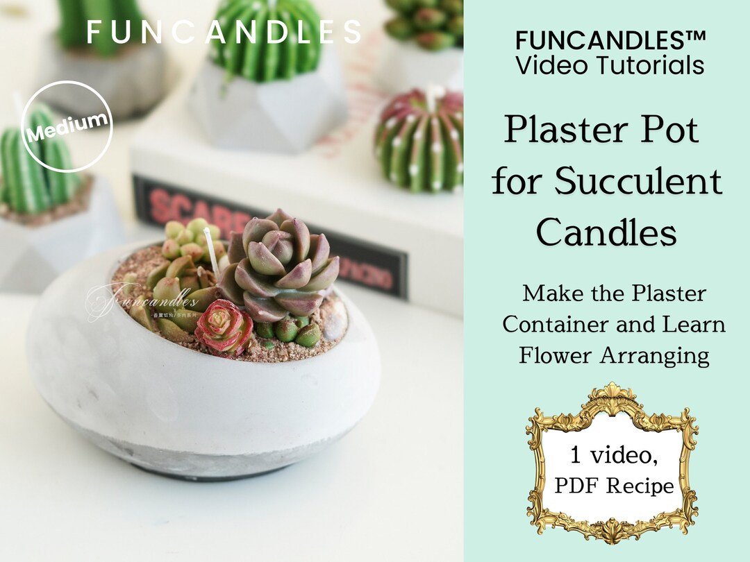PLASTER POT Making Course • Diy Container for Succulent Candles ...