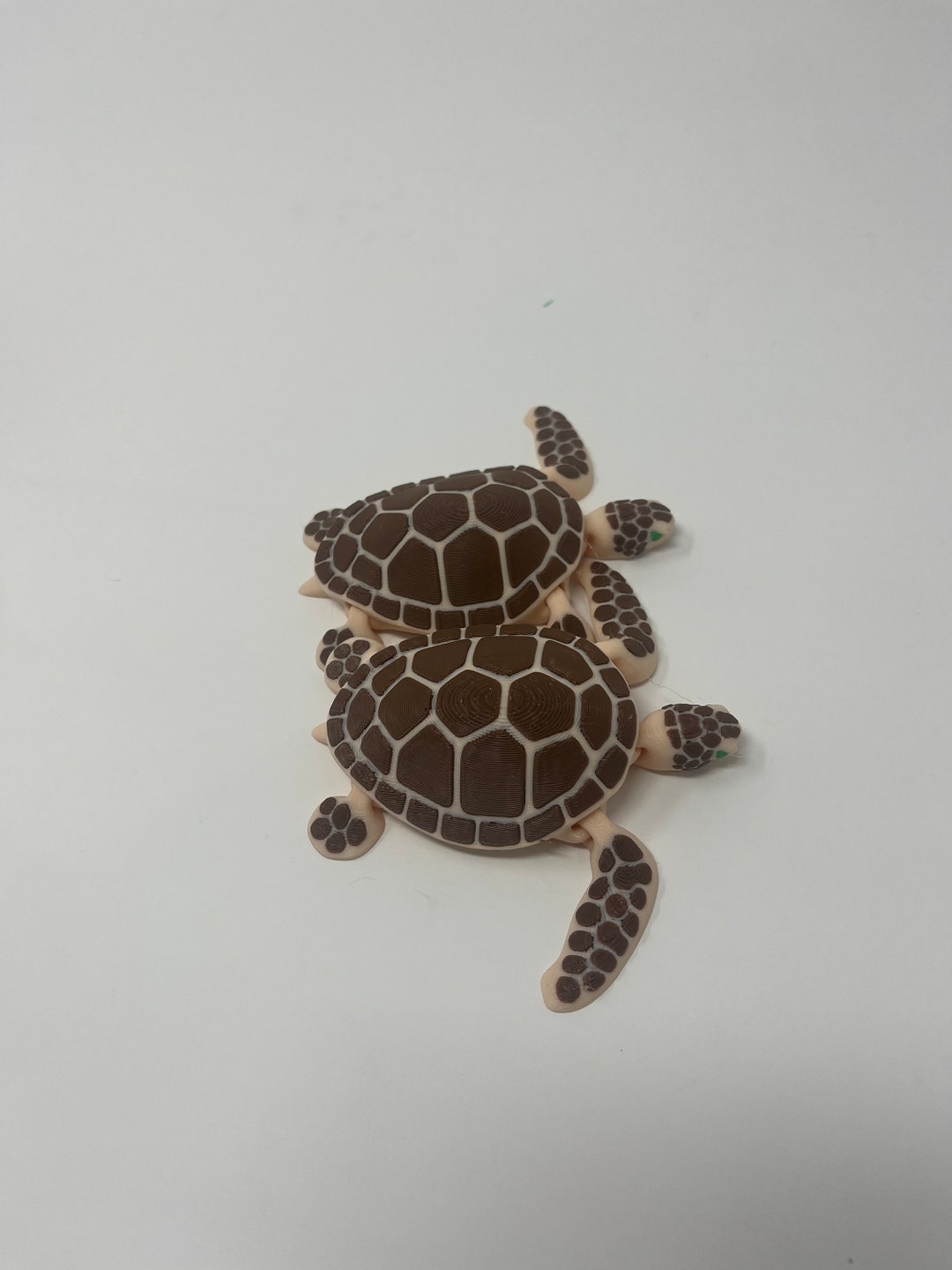 3D Articulated Turtle Fidget Toy - Etsy