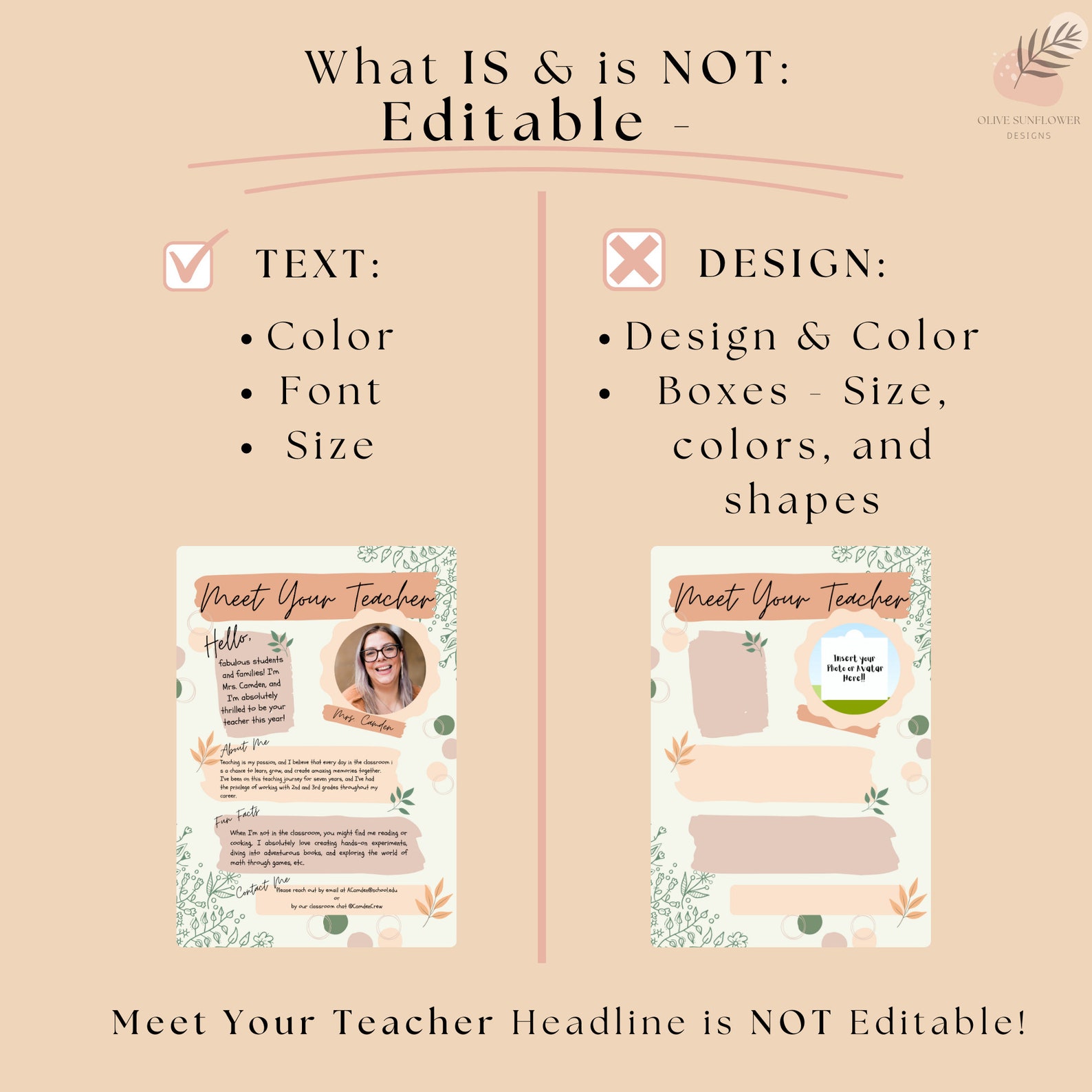 Meet the Teacher All About My Teacher Teacher About Me Meet and Greet ...