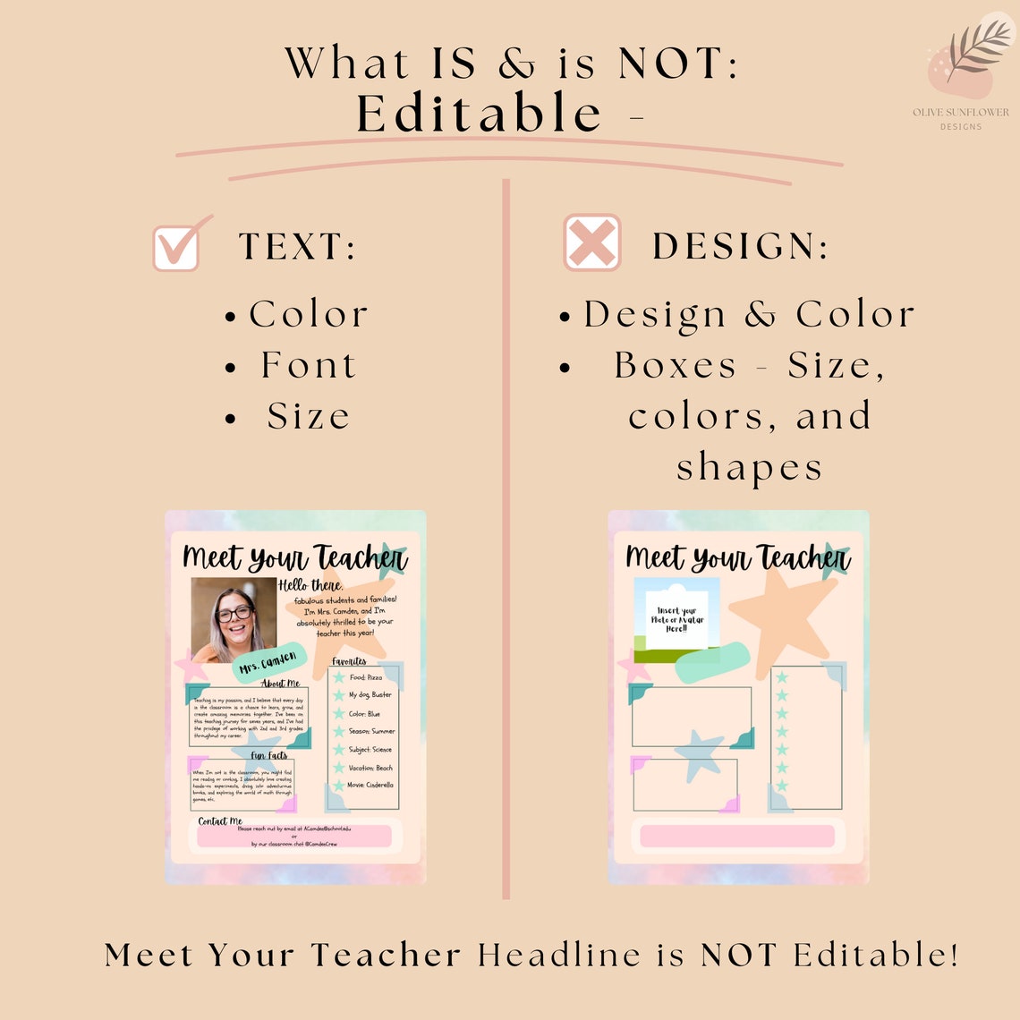 Meet the Teacher All About My Teacher Teacher About Me Meet - Etsy