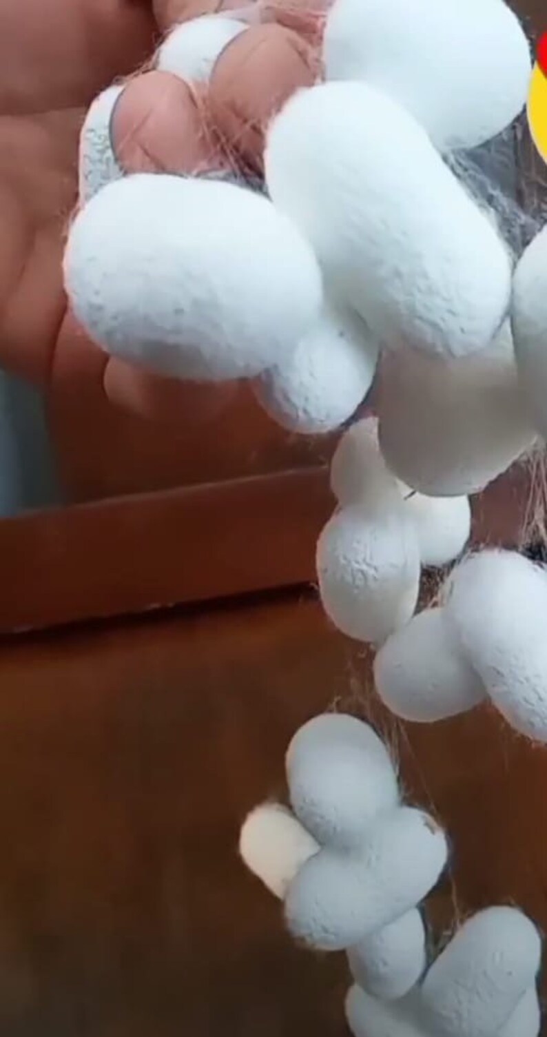 Handmade Silk Flowers Made From Silkworm Cocoon. Choose Your Color ...