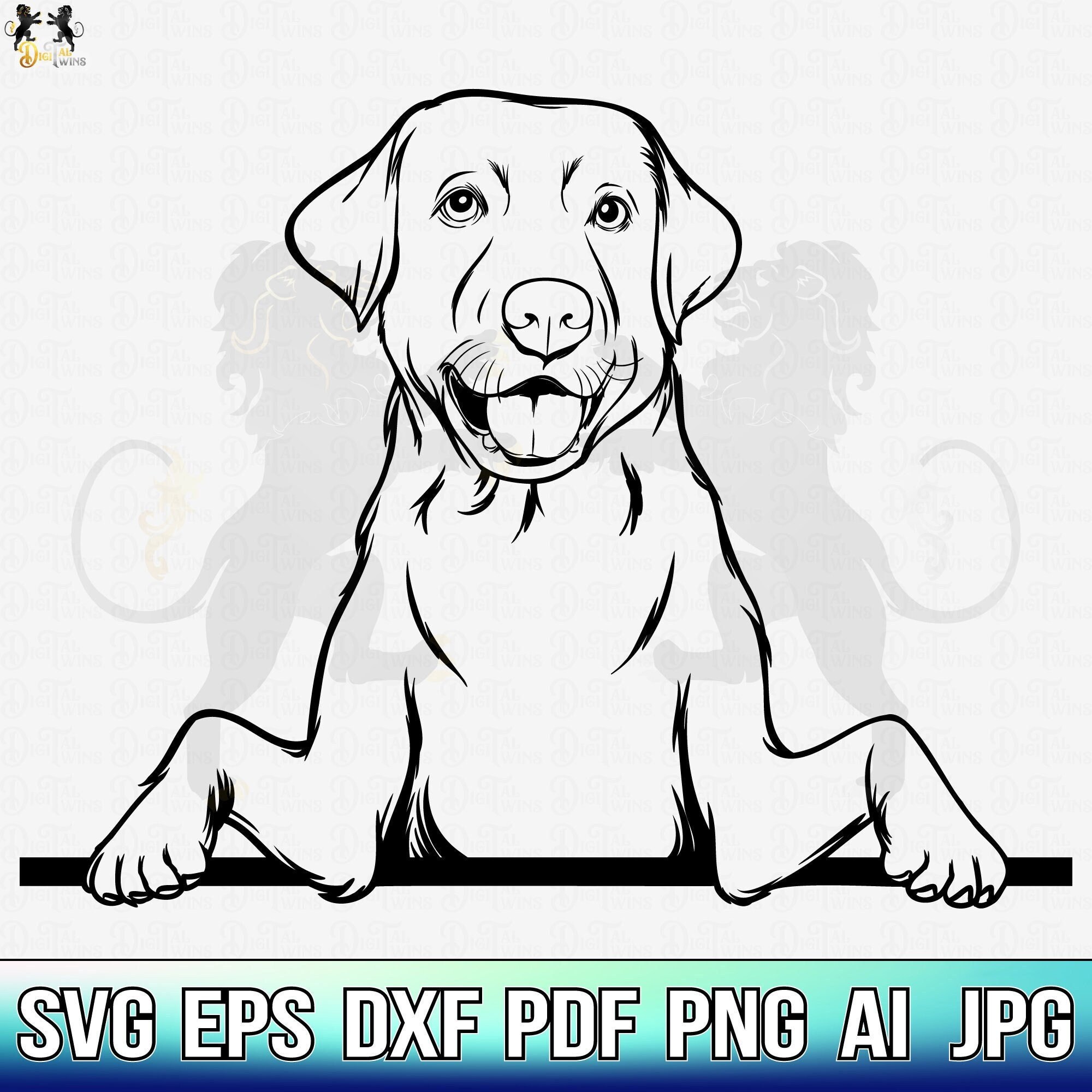 Labrador Svg Labrador Retriever Svg Labrador Clipart - Etsy