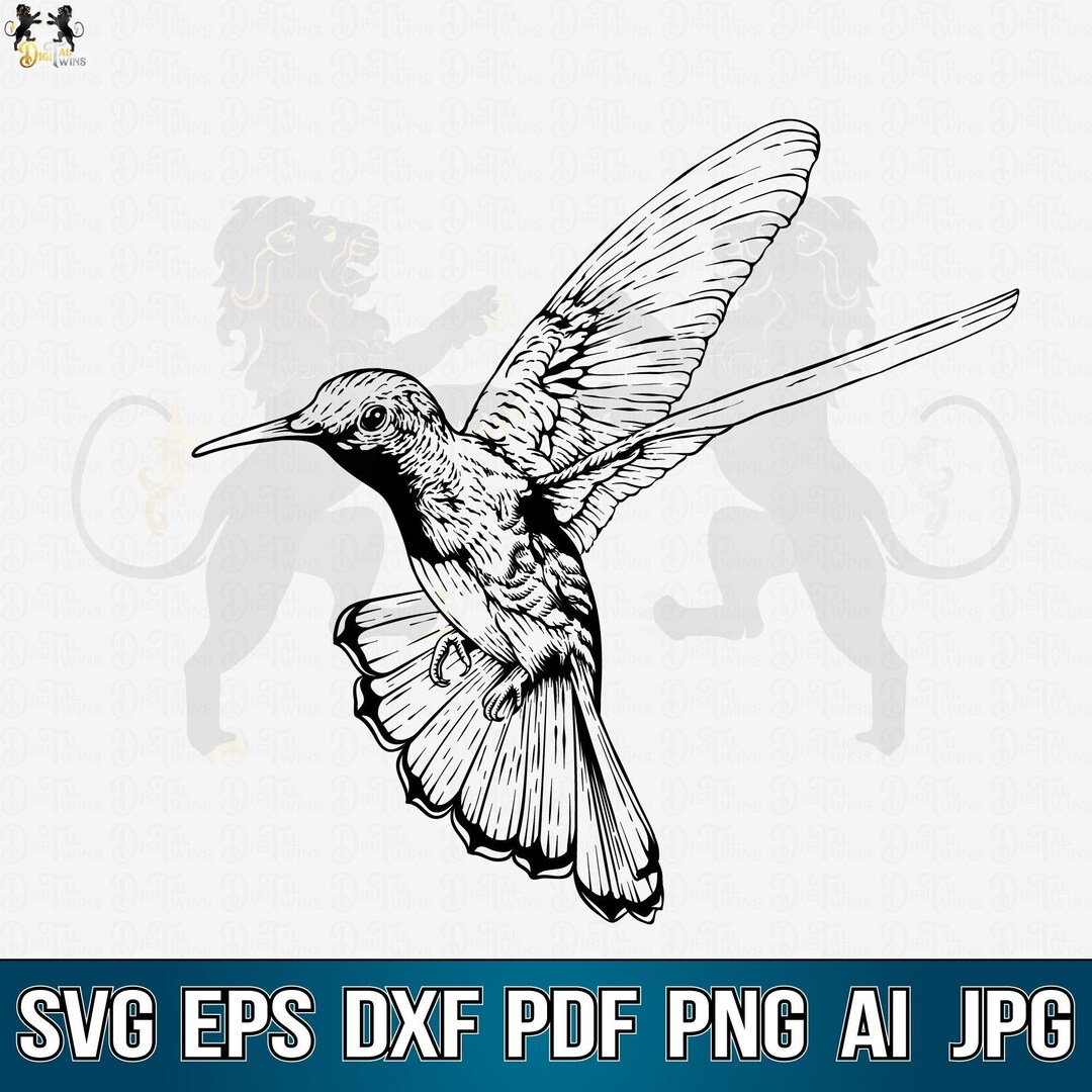 Hummingbird Svg, Hummingbird Clipart, Hummingbird Vector, Hummingbird ...