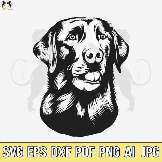 Labrador Svg Labrador Retriever Svg Labrador Clipart - Etsy