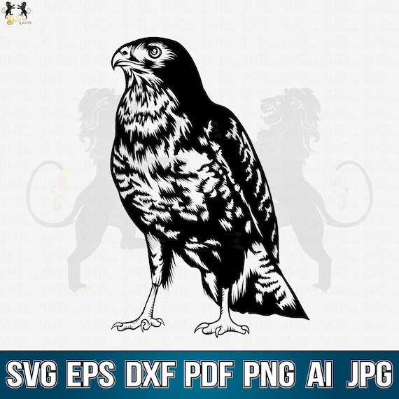 Falcon Svg Hawk Svg Falcon Clipart Falcon Vector Falcon | Etsy