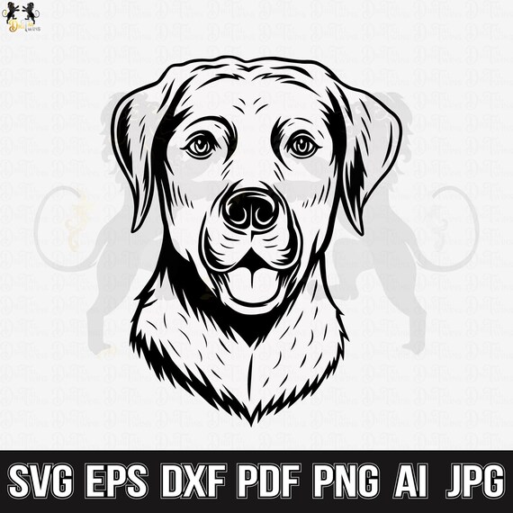 Labrador Svg Labrador Retriever Svg Labrador Clipart | Etsy